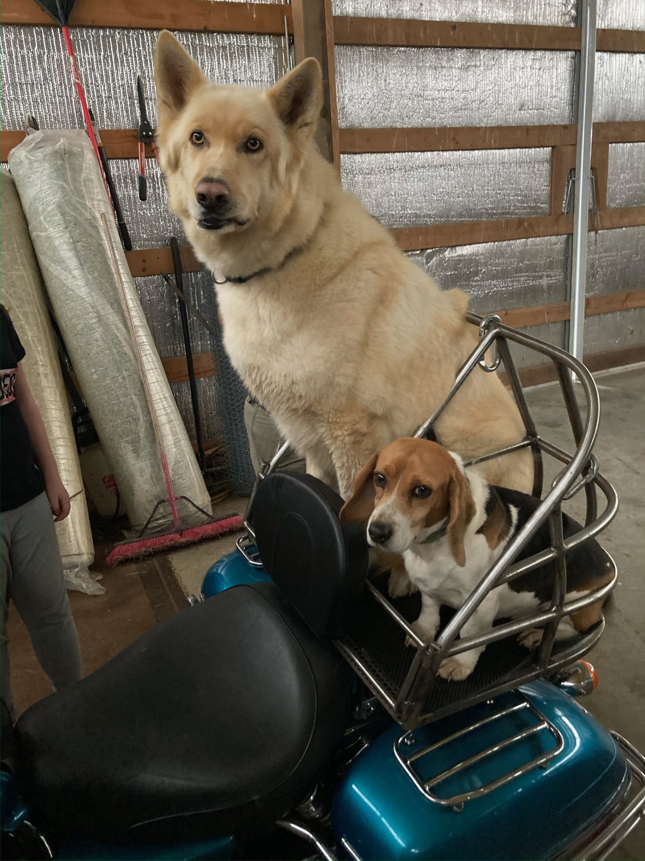 Homepage - The Ruff Rack