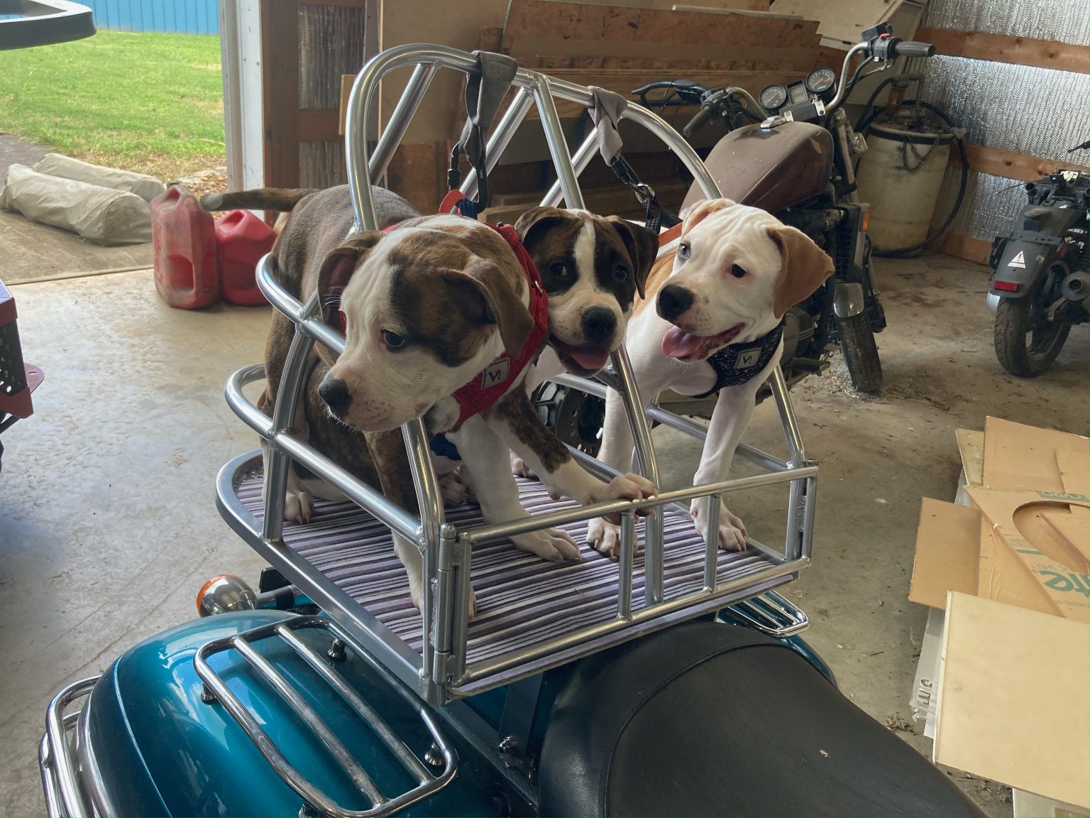 Homepage - The Ruff Rack