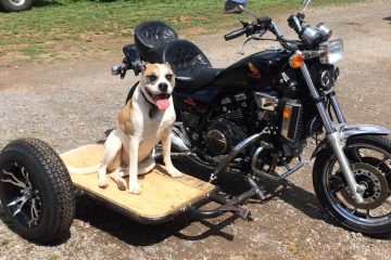 Homepage - The Ruff Rack