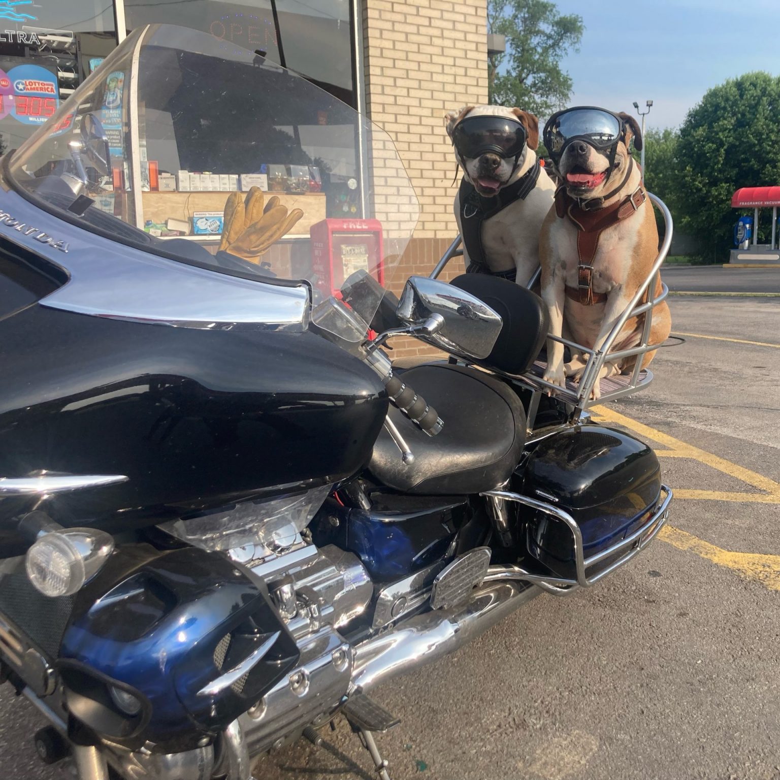 Homepage - The Ruff Rack