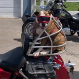 Homepage - The Ruff Rack