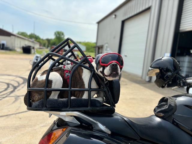 Ruff Rack Pics - The Ruff Rack