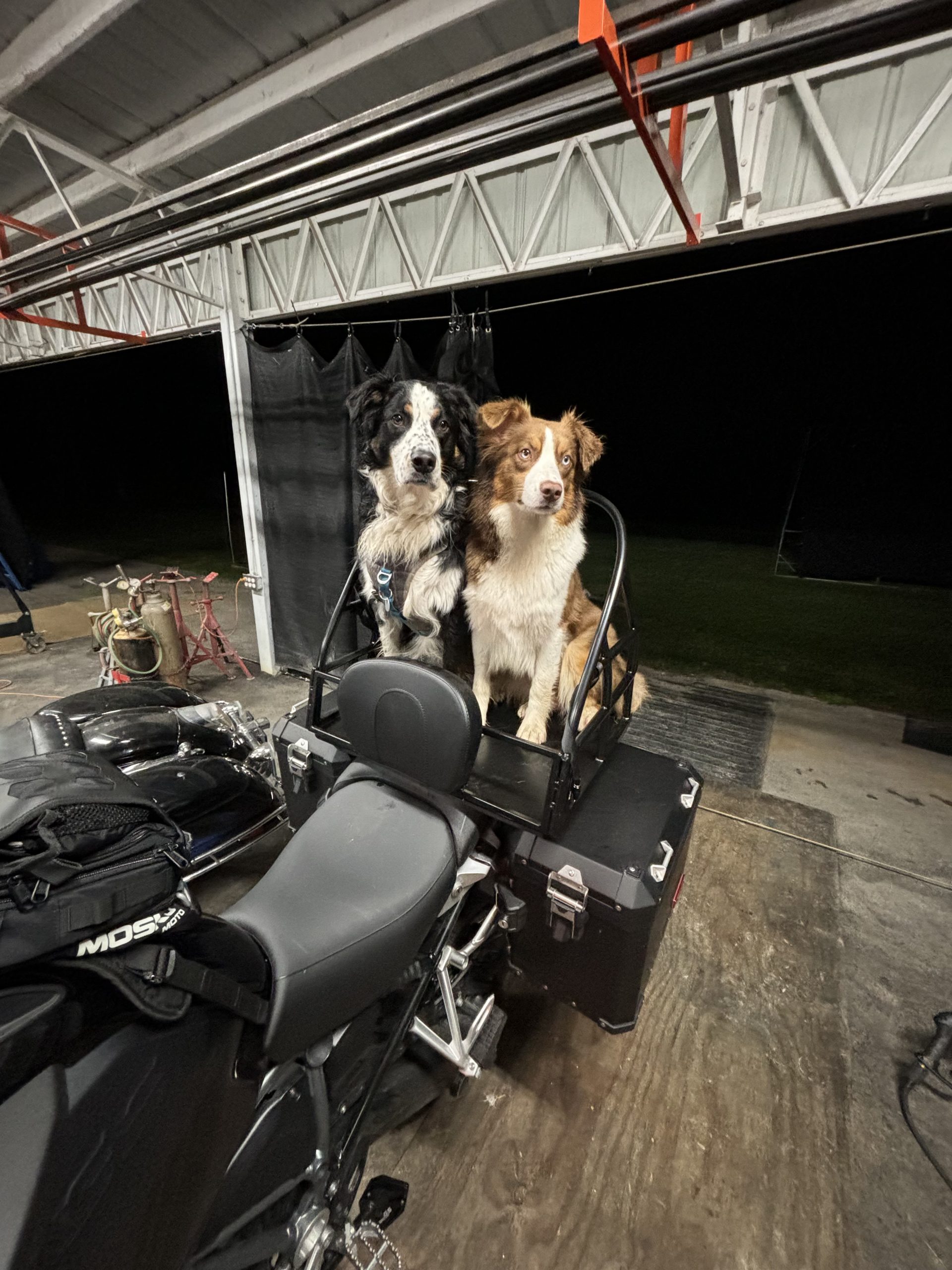 Gallery – The Ruff Rack