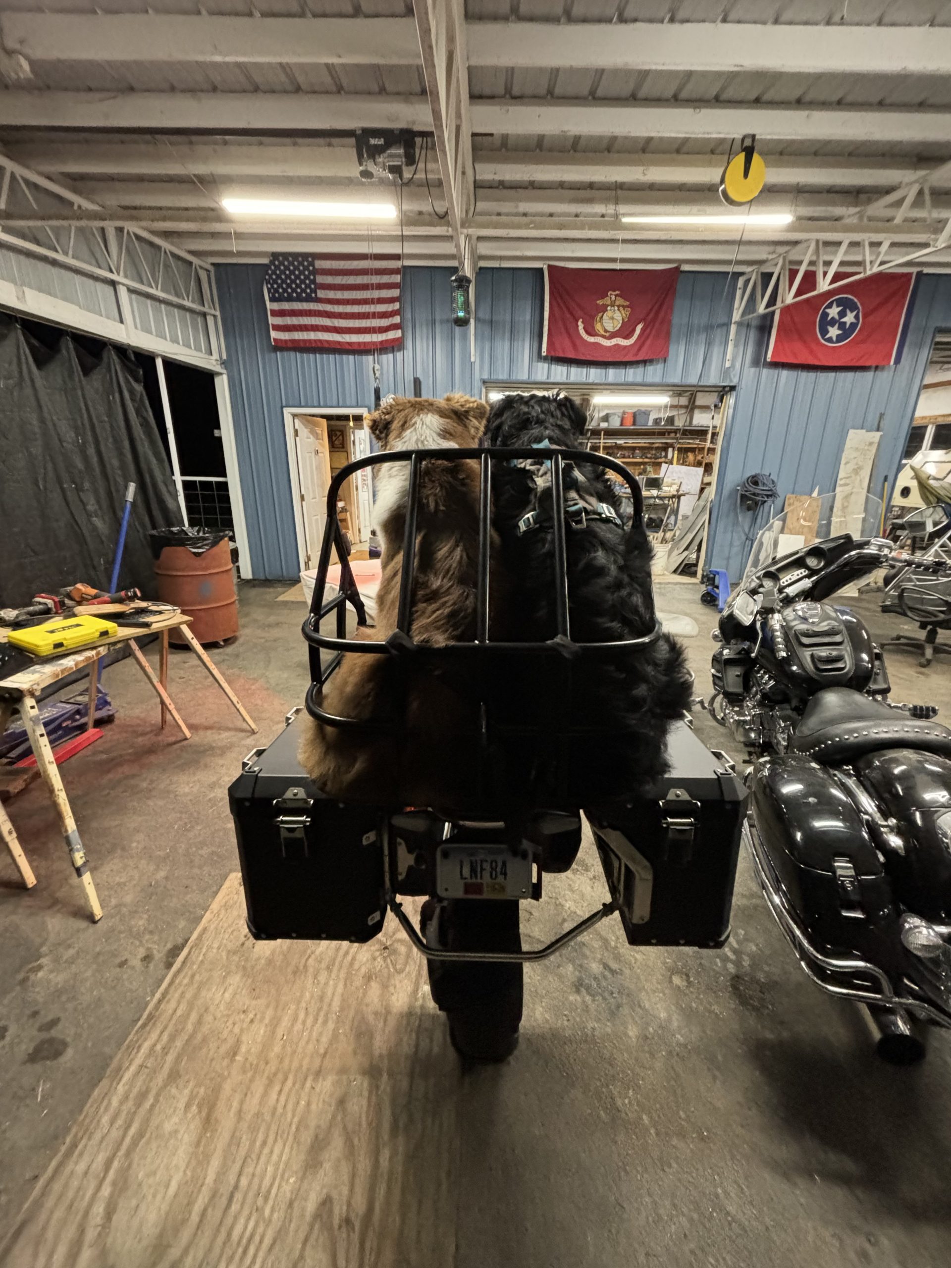 Gallery – The Ruff Rack