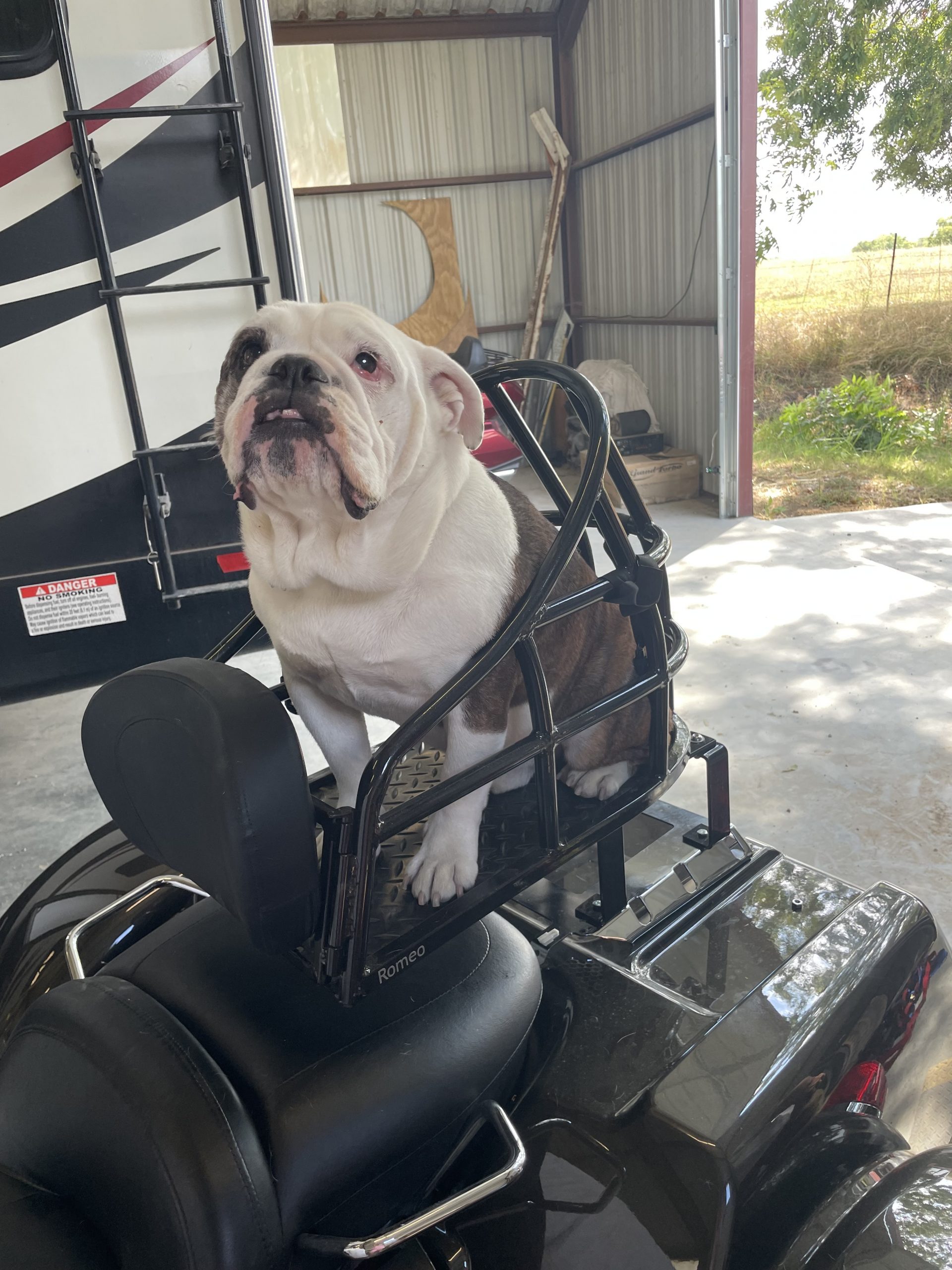 Gallery – The Ruff Rack