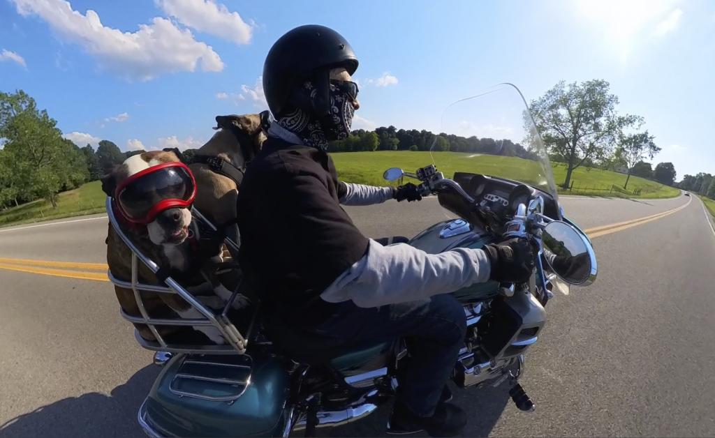 Short Video - The Ruff Rack